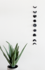 How to make a moon phase wall hanging – Recycled Crafts
