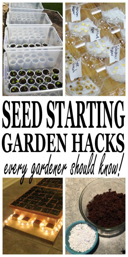 How To Start Seeds Growing With these Seed Starting Ideas – Recycled Crafts